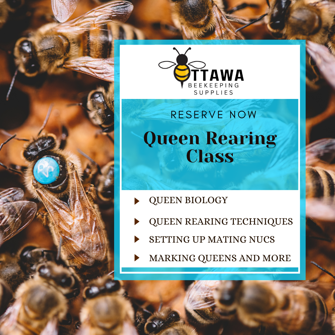 Queen Rearing Workshop with Neil Carter - Sunday June 22 2025 | Ottawa ...