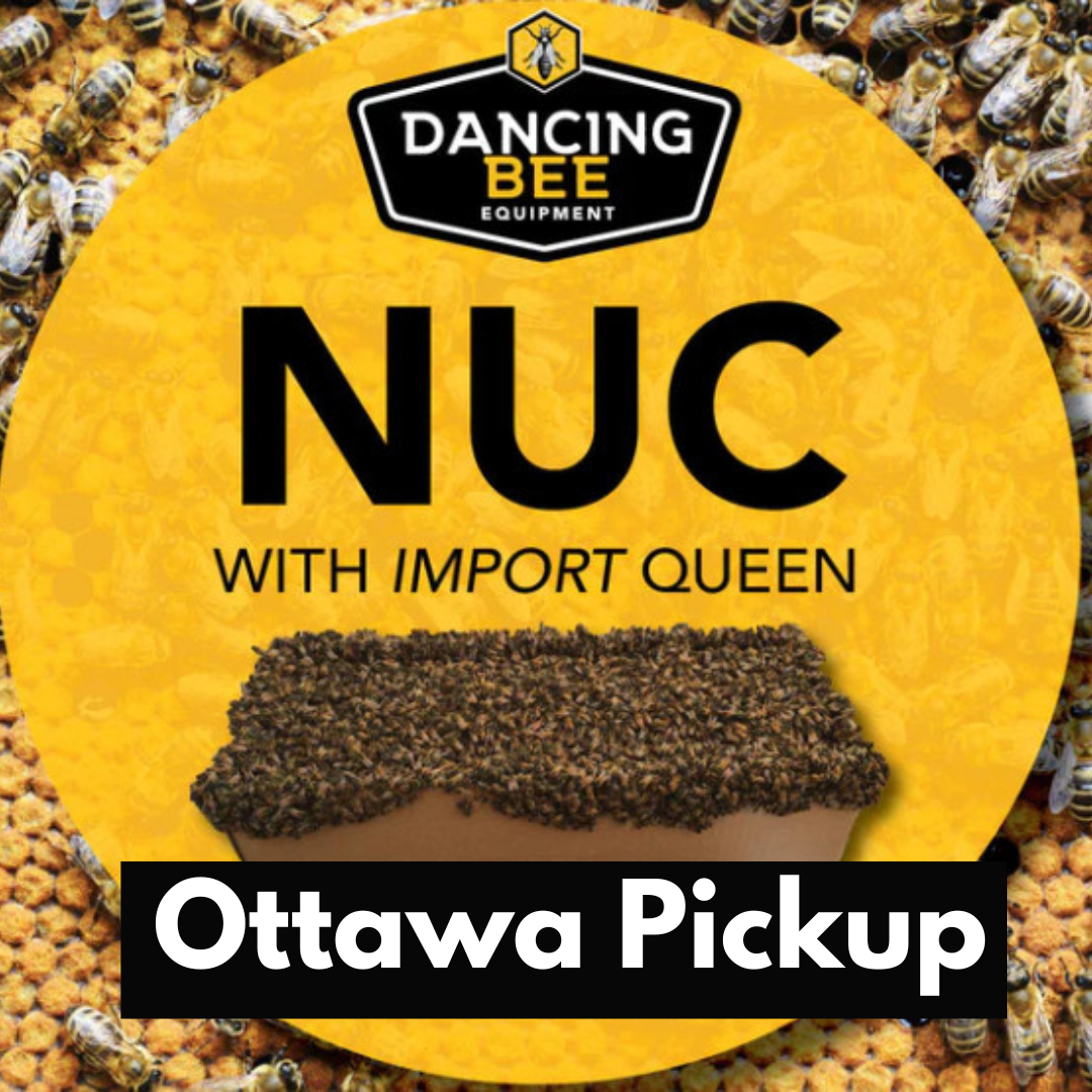 Dancing Bee Nucleus Colony | End of May Date TBD | Honeybee Nuc ...