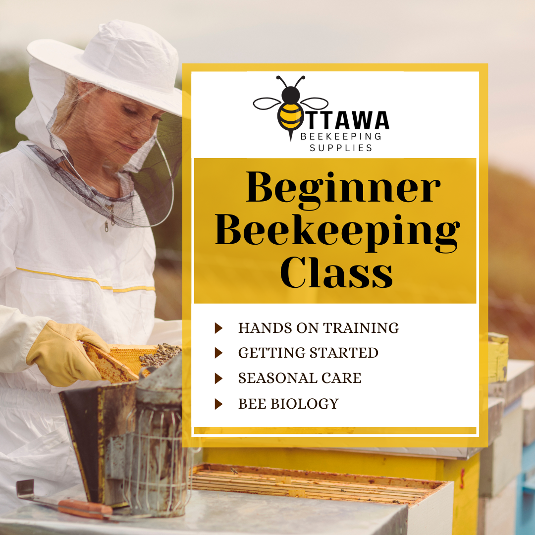 Beginner Beekeeping Class - 2025 Dates | Ottawa Beekeeping Supplies